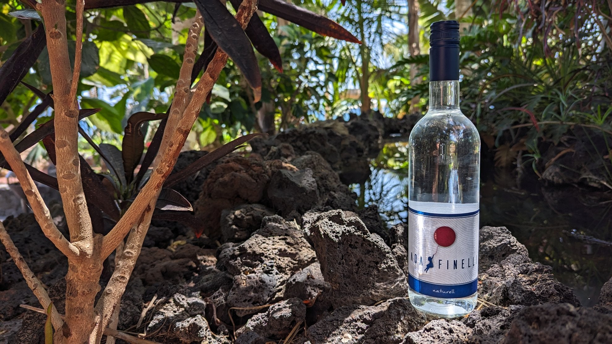 AQA FINELLI als Finalist für die Zenith Global Water Drinks Awards 202 ...