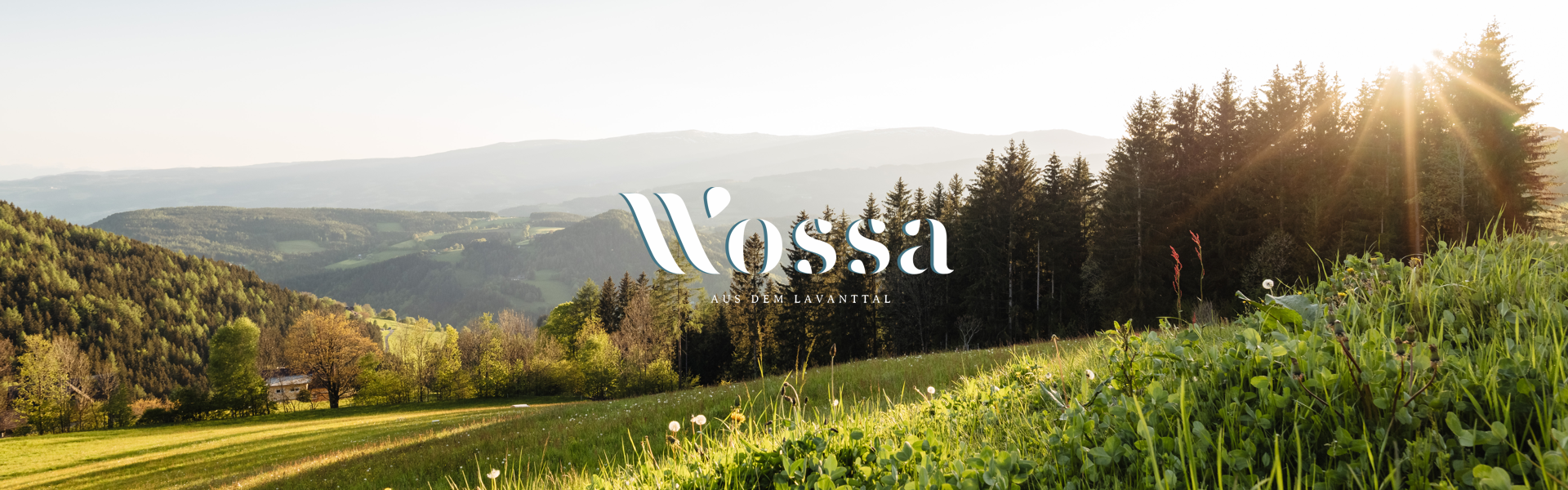 WOSSA – FINE LIQUIDS